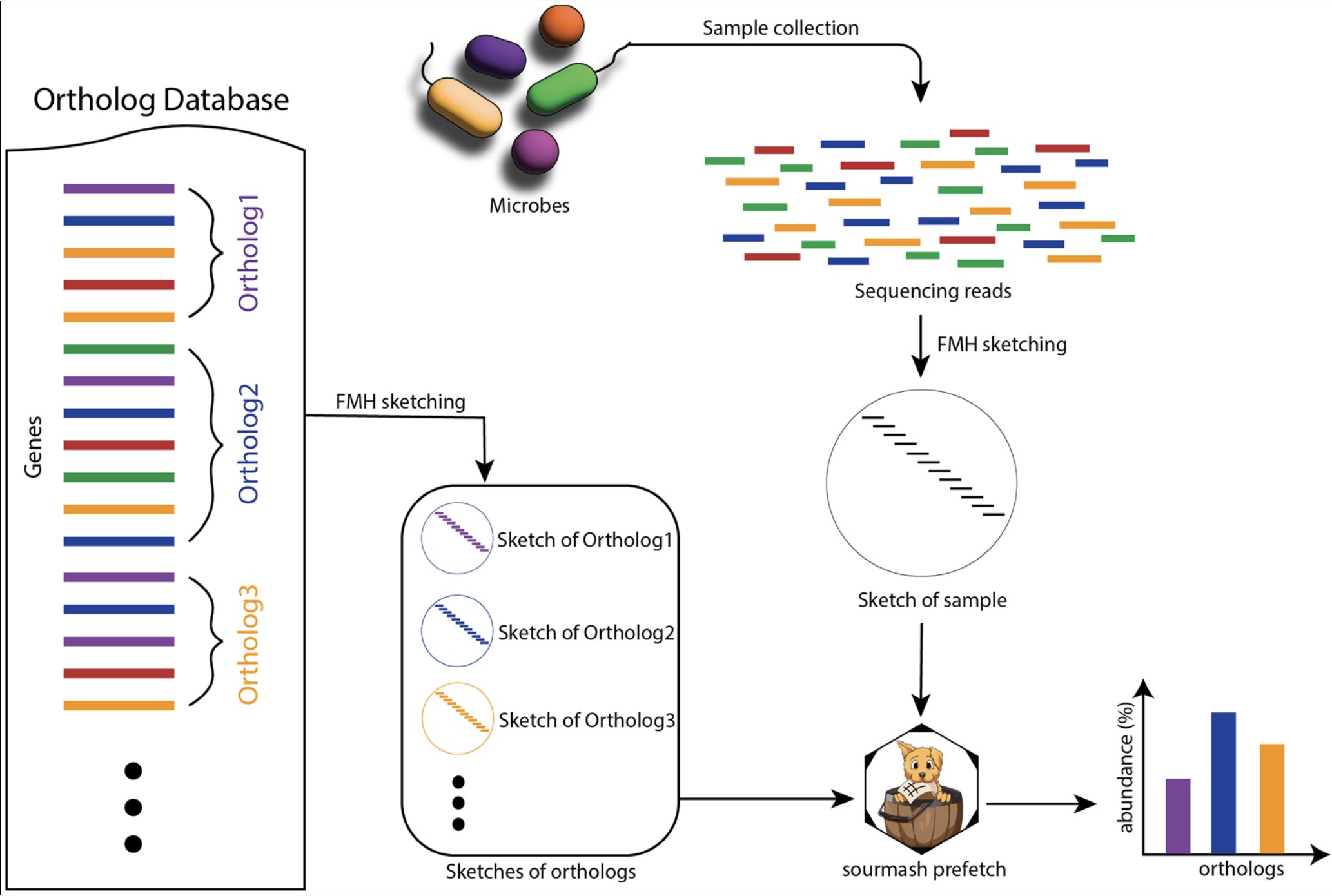 Koslicki Lab - Publications