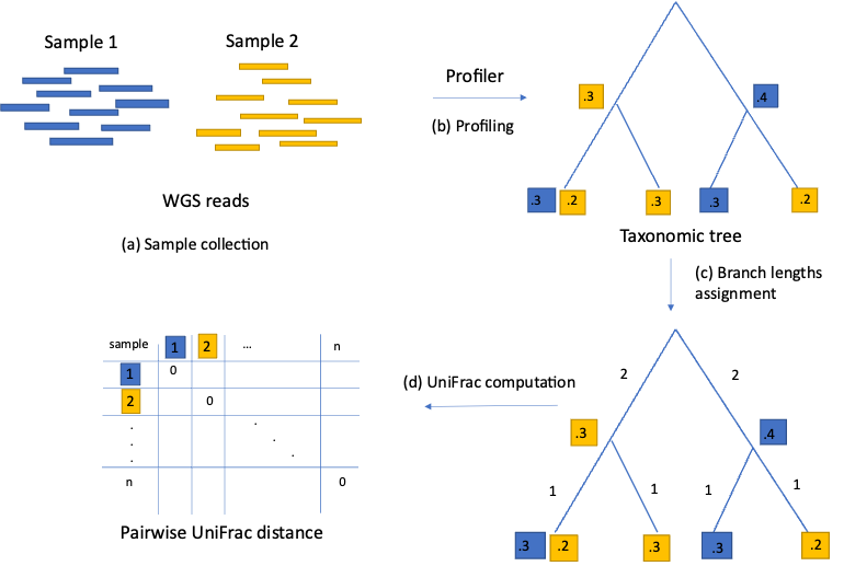 Koslicki Lab - Publications