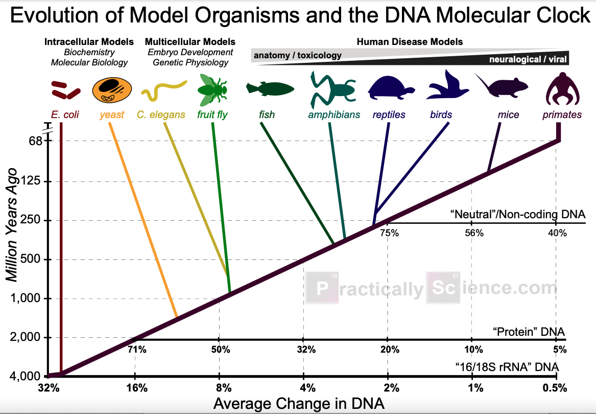 Koslicki Lab - Software