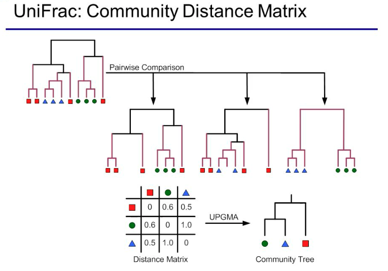 Koslicki Lab - Software